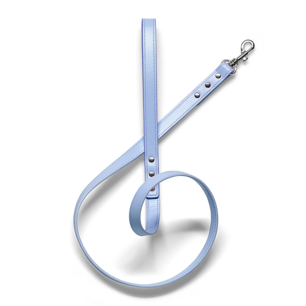 Luxe Light Blue - Premium Pet Lead (Silver) – Petzy - Premium ...