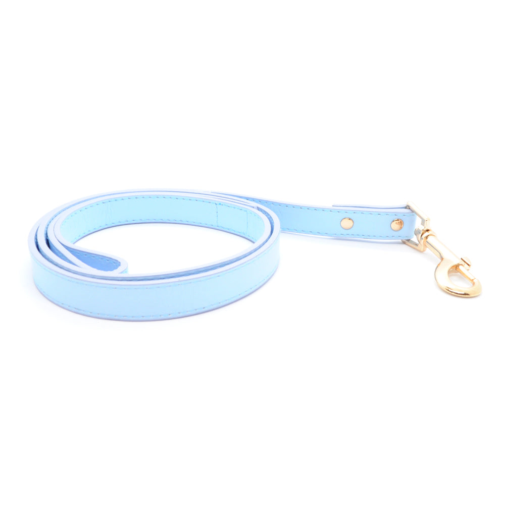Light Blue - Pet Lead (Gold) – Petzy - Premium Personalised Pet Accessories