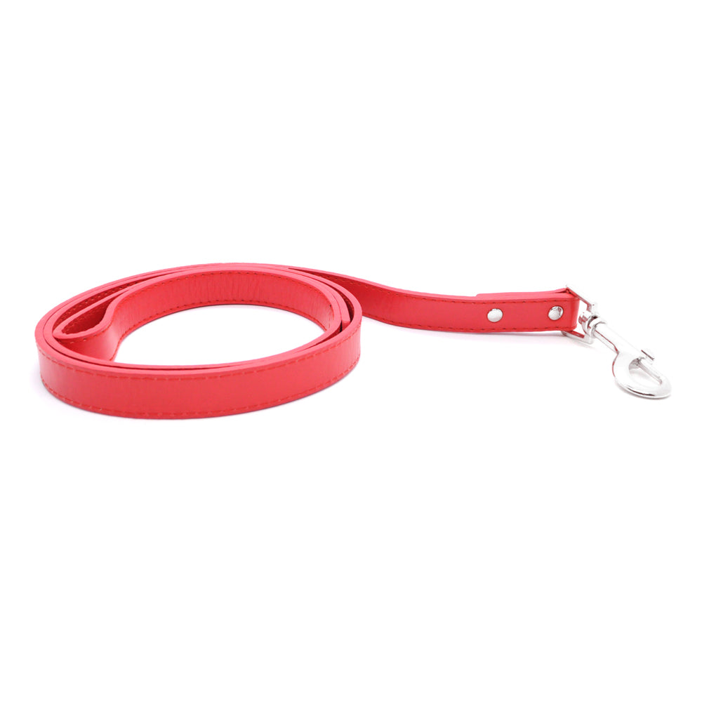 Red - Pet Lead (Silver) – Petzy - Premium Personalised Pet Accessories